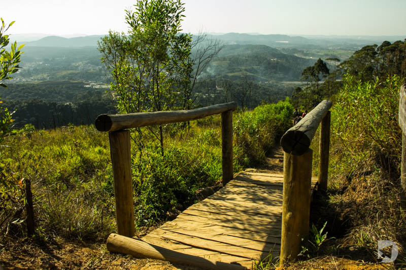 Trilha do Pai Zé no Parque do Jaraguá